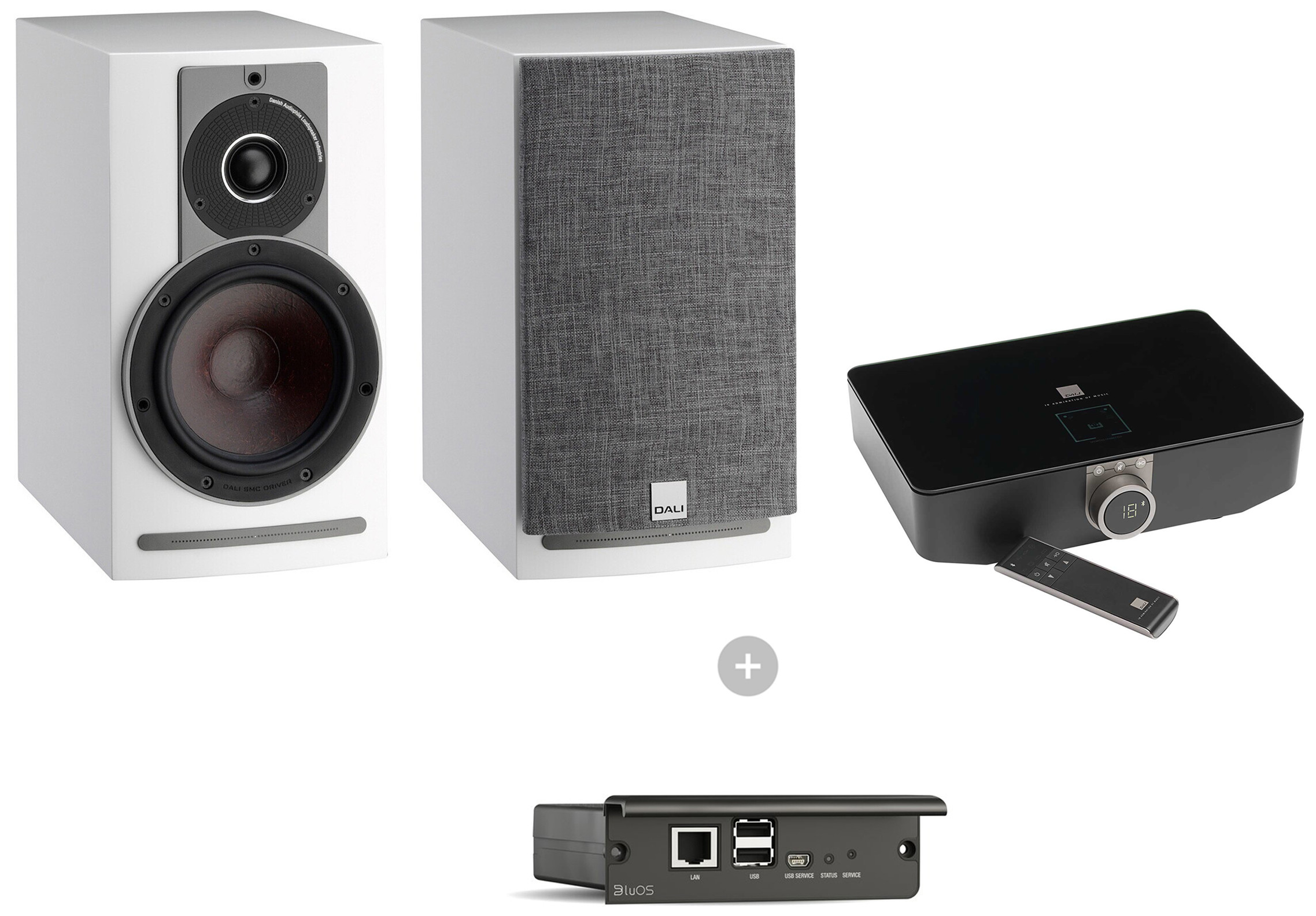 Dali Rubicon 2C Bookself Speaker + BluOS SOUND HUB + 2i Module - White ...